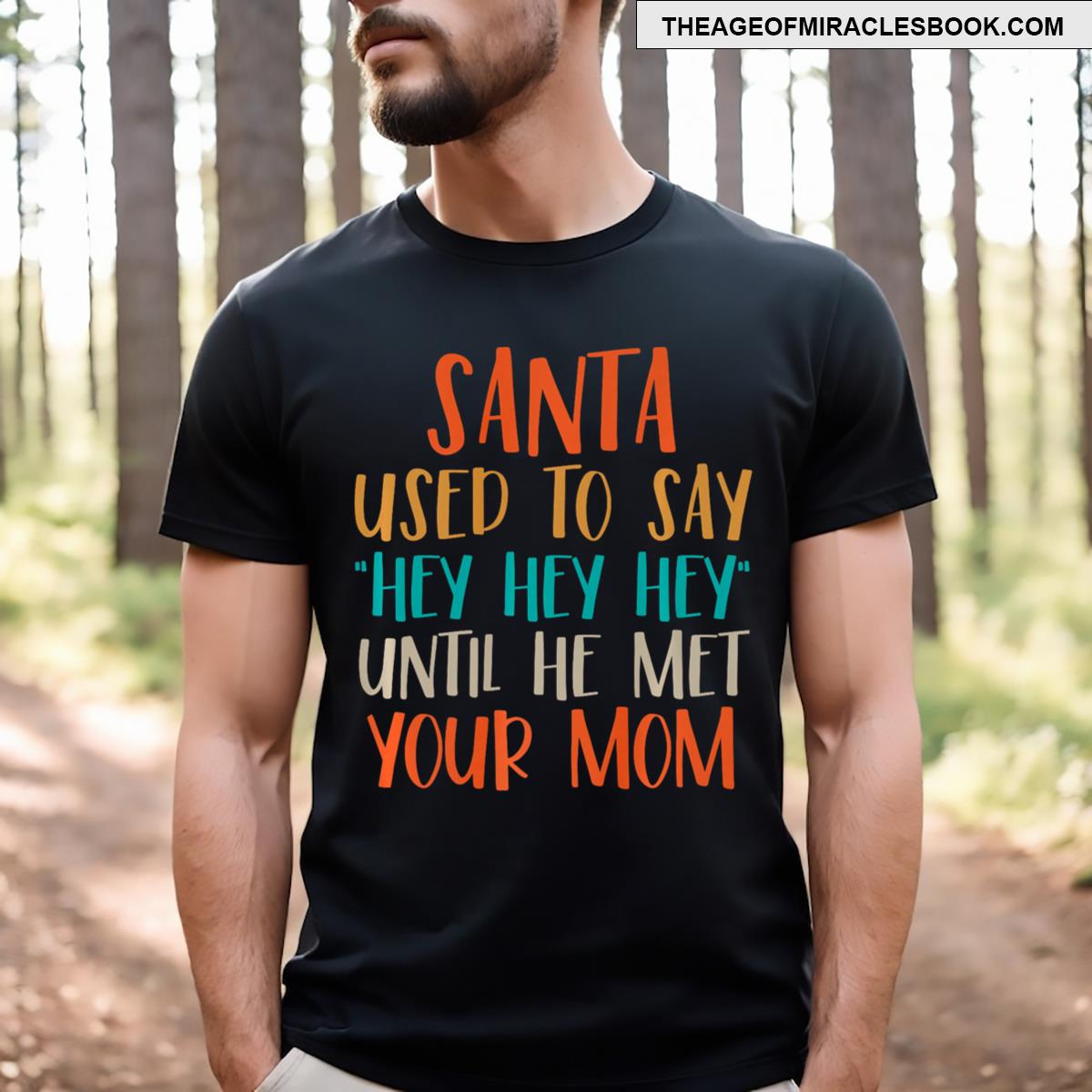 Santa Used To Say Hey Hey Hey Until He Met Your Mom Version 2 T-shirt