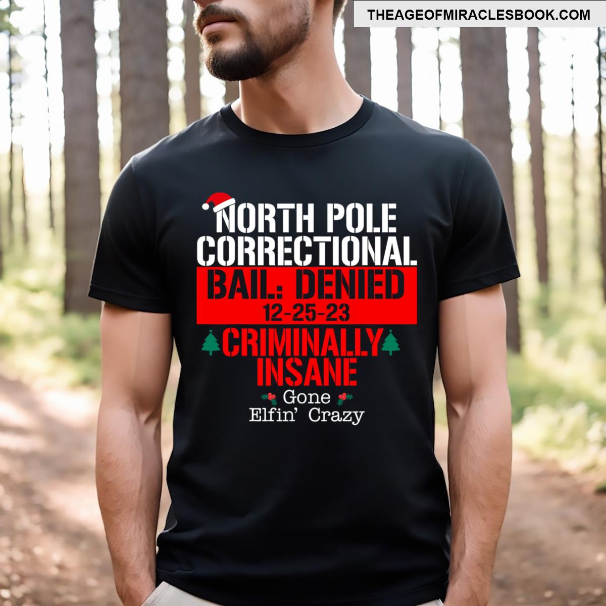North Pole Correctional Bail Denied Criminally Insane Gone T-shirt