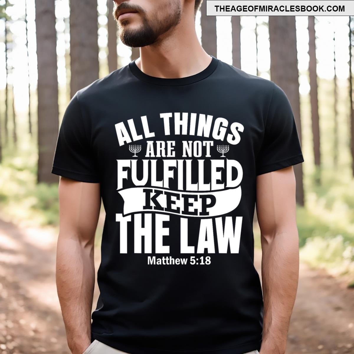 Ftloy Holy Clothing All Things Are Not Fulfilled Wht T-shirt