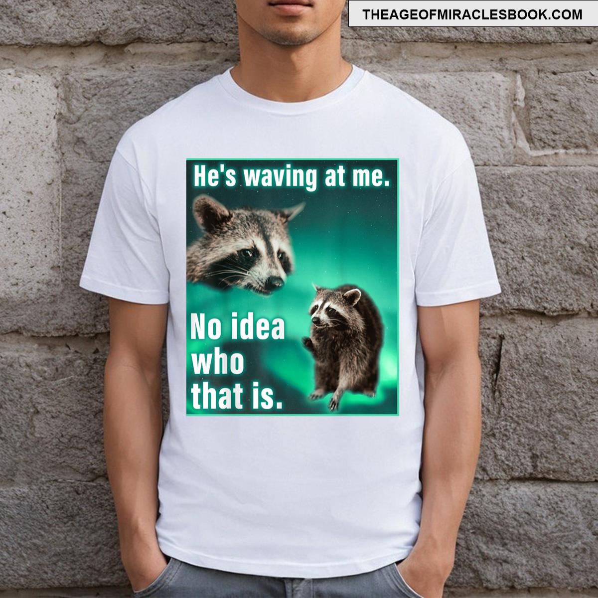 Raccoons Fun He\'s Waving No Idea Who That Is Funny Trash Raccoon Meme ...