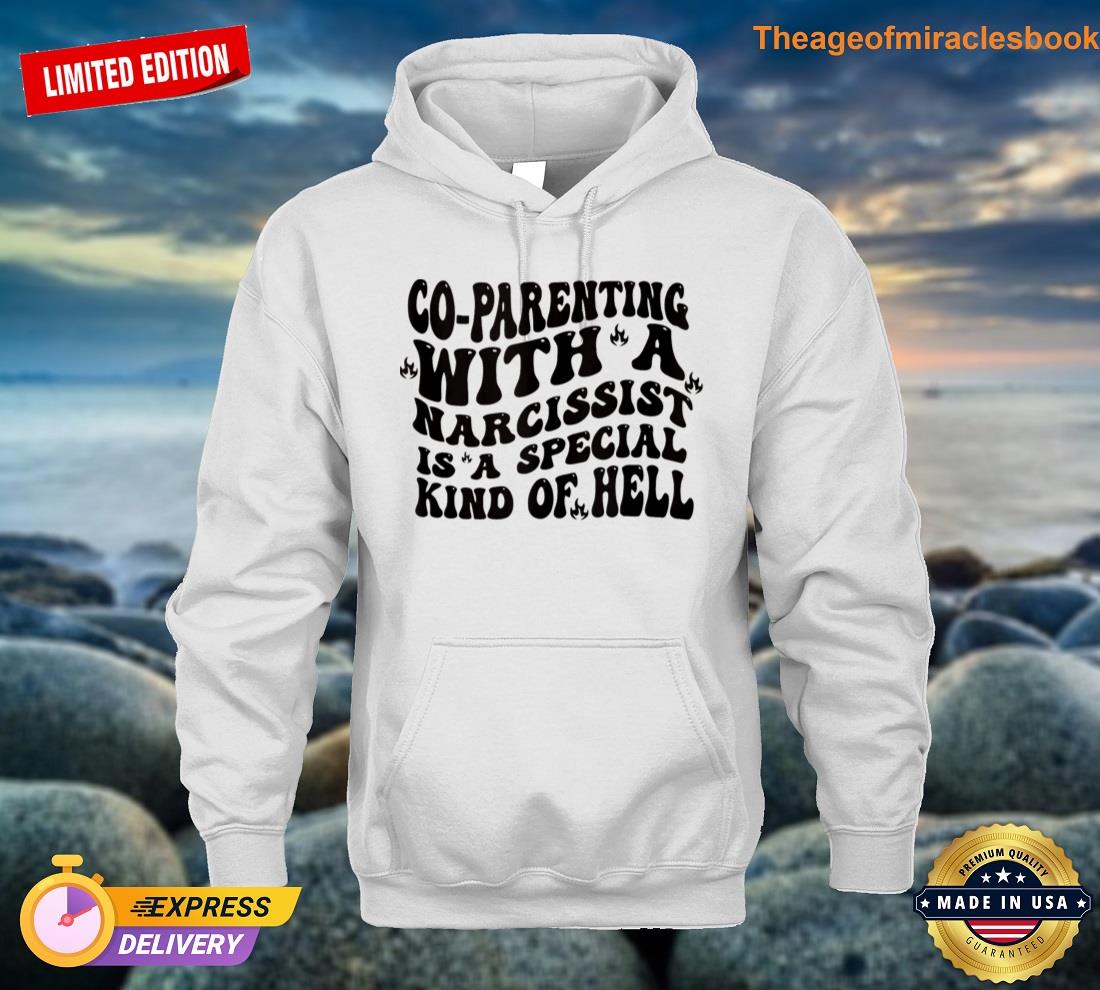 Co Parenting With A Narcissist Is A Special Kind Of Hell T-shirt