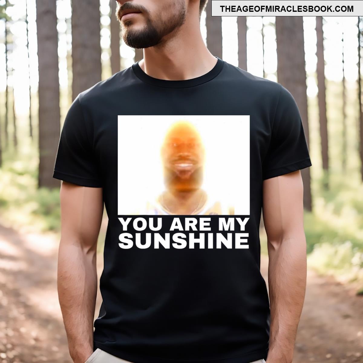 Lebonbon You Are My Sunshine Meme T-shirt
