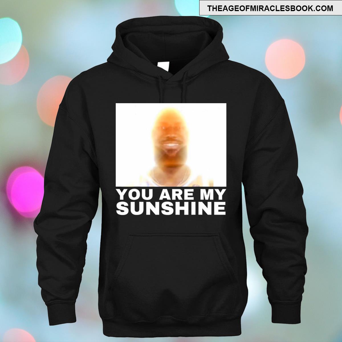 Lebonbon You Are My Sunshine Meme T-shirt
