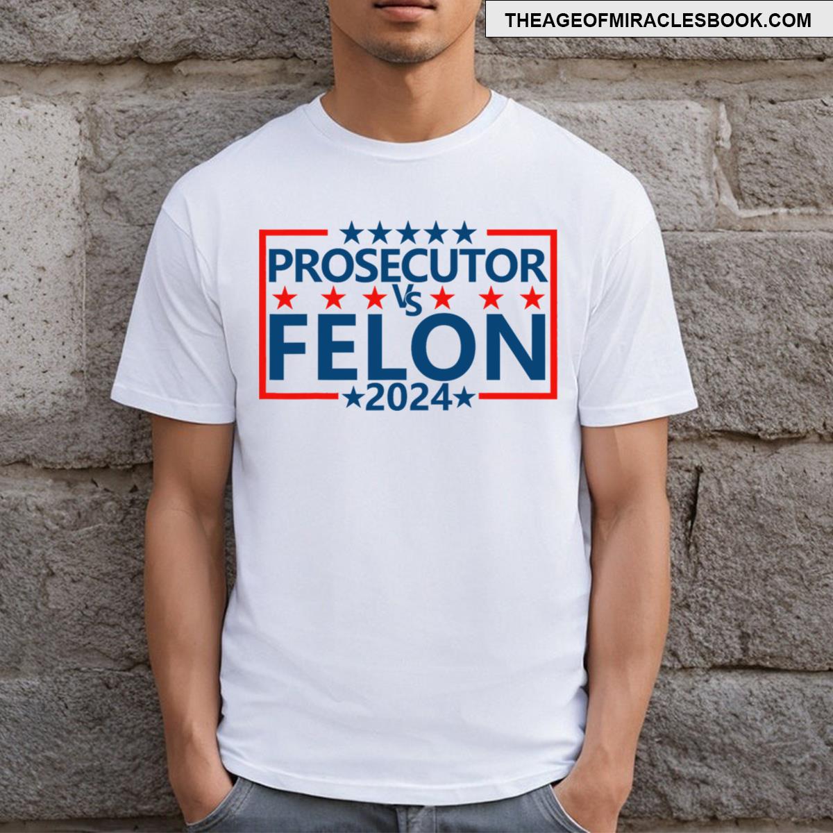 Prosecutor Vs Felon Prosecutor Vs Felon 2024 T-shirt