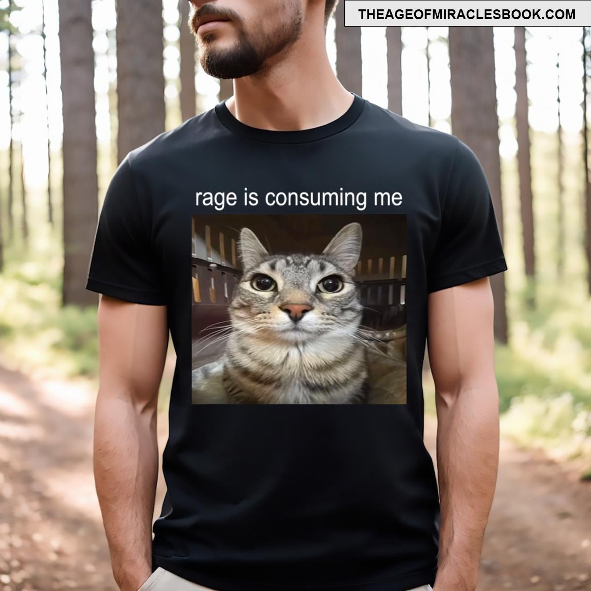 Rage Is Consuming Me Silly Staring Cat Meme T-shirt