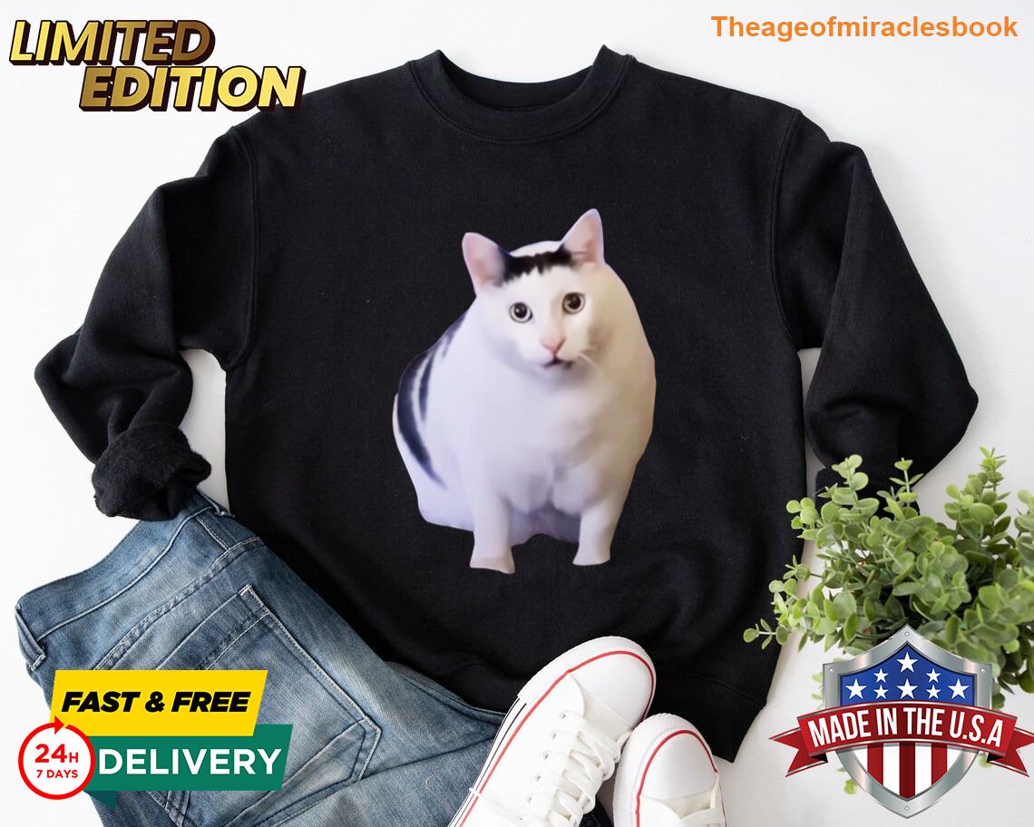Huh Cat Chonky Ben Meme T-shirt