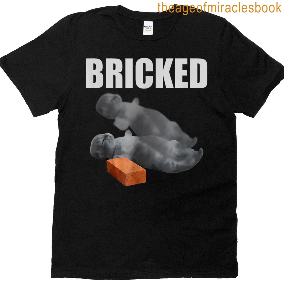 Cat Bricked Funny Knocked Out Meme Silly Cats Saying T-shirt