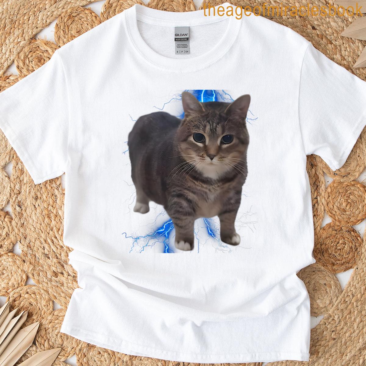 Funny Oiia Oiia Spinning Cat Meme Cat Brainrot T-shirt