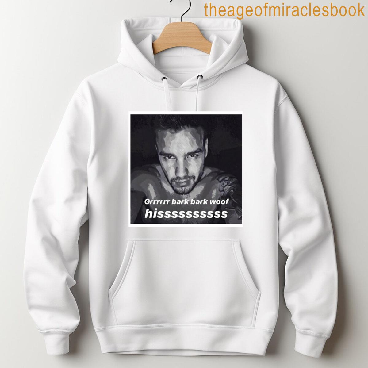 Liam Payne Meme T-shirt