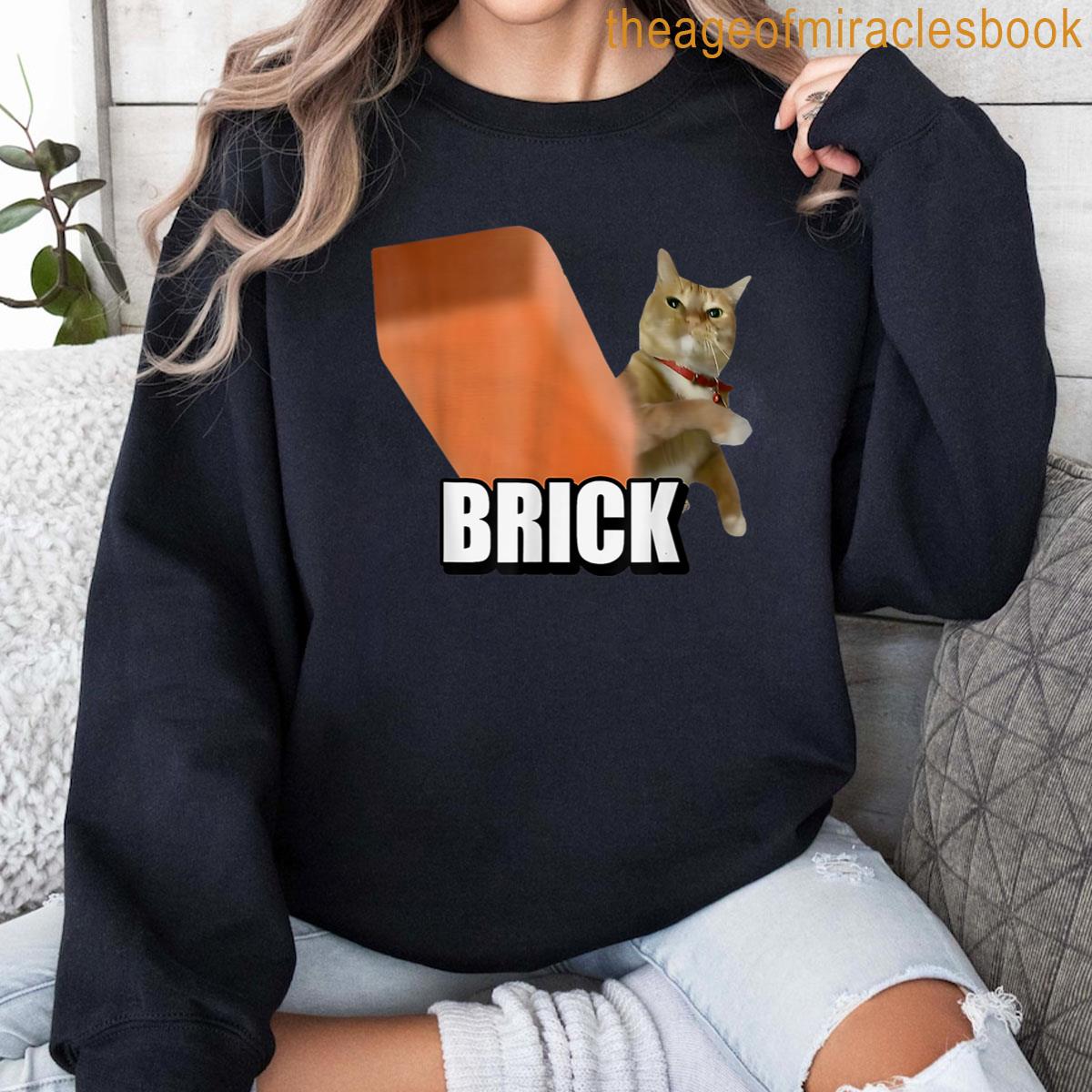 Funny Cat Throwing Brick Italian Brainrot Cat Meme T-shirt