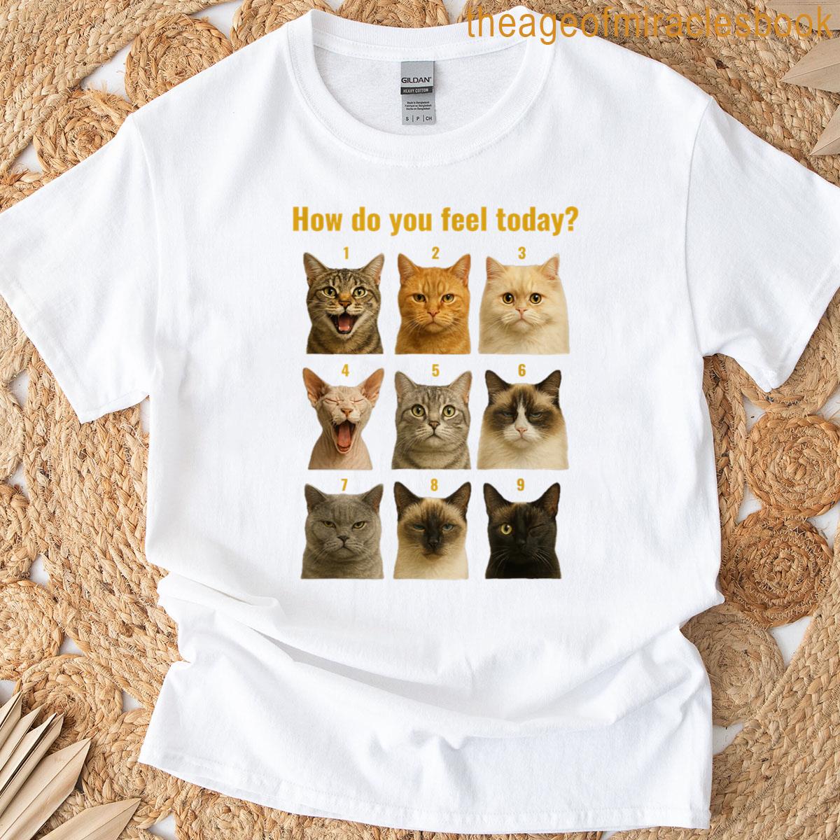 Funny Cat Mood Chart How Do You Feel Today T-shirt