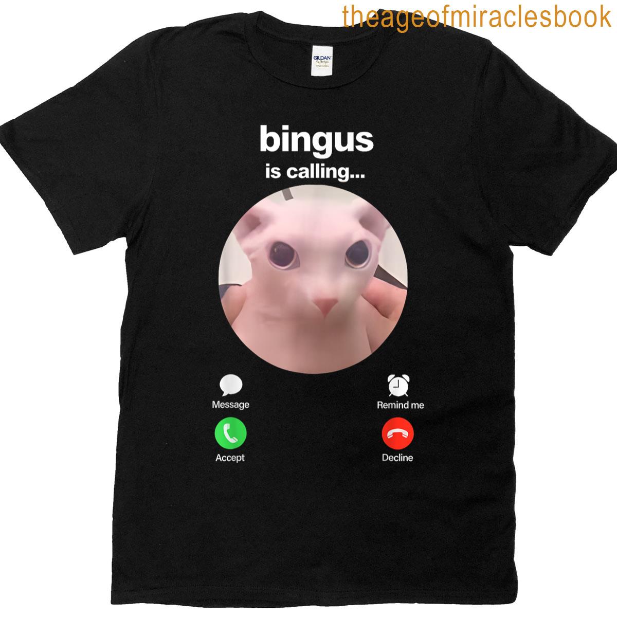 Bingus Is Calling Hairless Sphinx Cat Bingus Cat Meme Gen Z T-shirt
